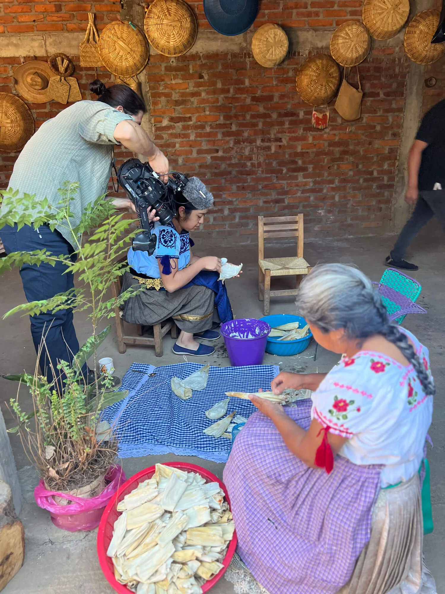 2023 Impact Media Award - Wildseeds Fund